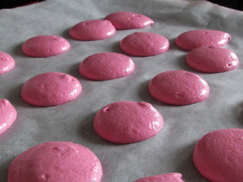 French Macarons – The Ultimate Baking Challenge! | My Dear Kitchen in ...